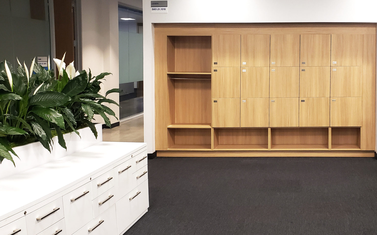 Hollman Workspace Lockers: Project Insights | Neighborly